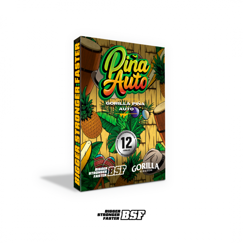 Gorilla Piña Auto x[2/4/7/12] – Semillas automáticas | BSF Formato X2