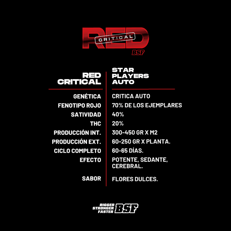 Compra Red Critical Auto BSF Seeds Formato X2